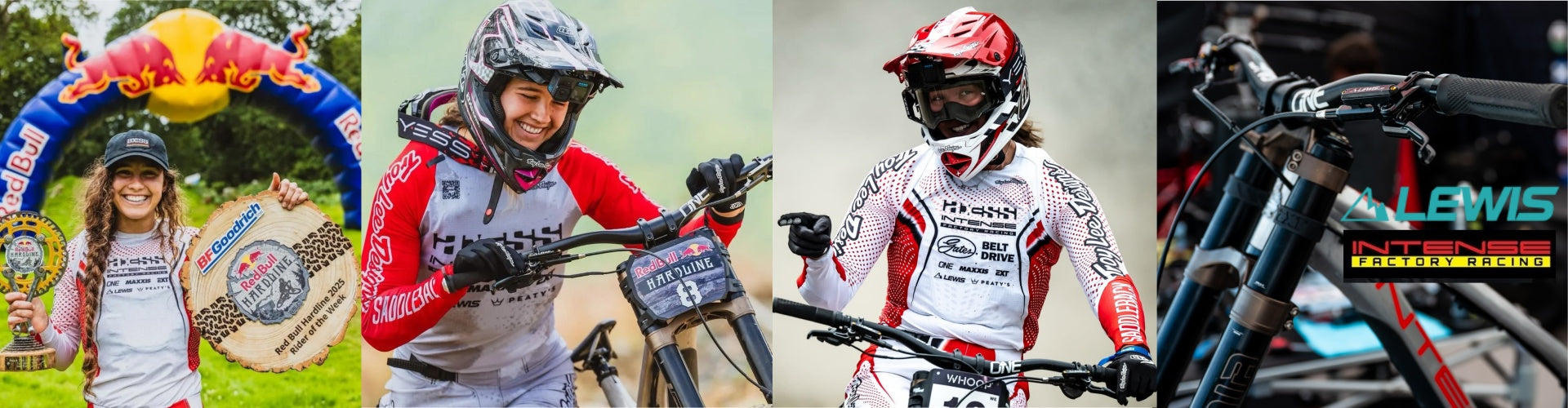 Lewis Brakes Official Online Shop / Lewis MTB Brakes – Lewisbike.shop